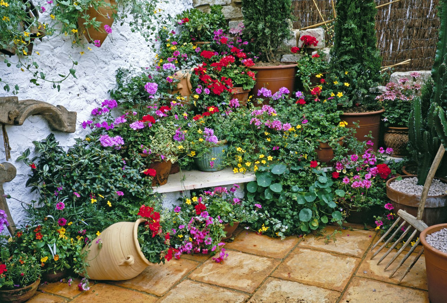 How to create a Mediterranean garden and the top 10 Mediterranean style ...