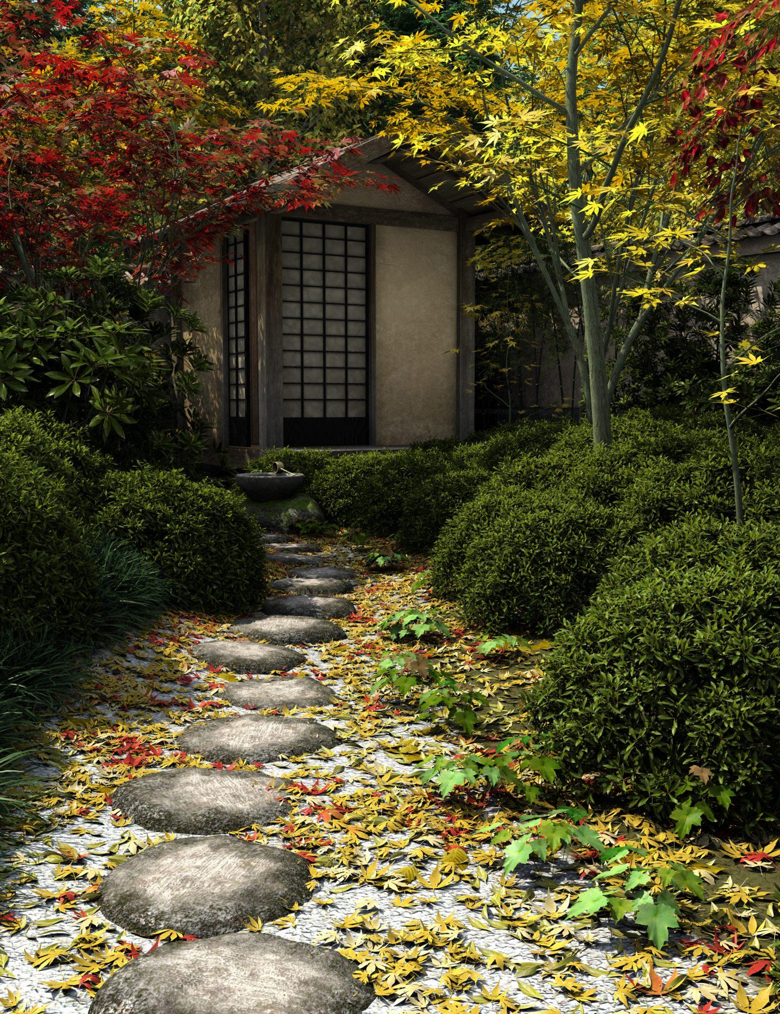 How to create a woodland garden and the top 15 plants for a woodland garden