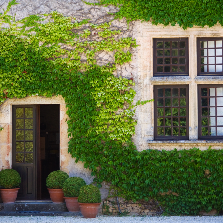 15 Plants for Front Gardens in 2024 - Gardening Express Knowledge Hub