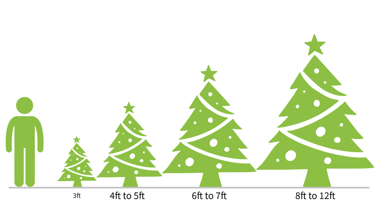 Caring For Your Christmas Tree - Gardening Express Knowledge Hub