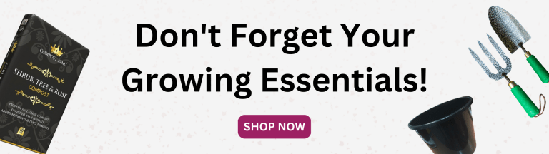 Grapevine Care Guide - Gardening Express Knowledge Hub