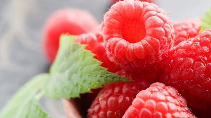 Raspberry: Rubus idaeus ‘Glen Ample’