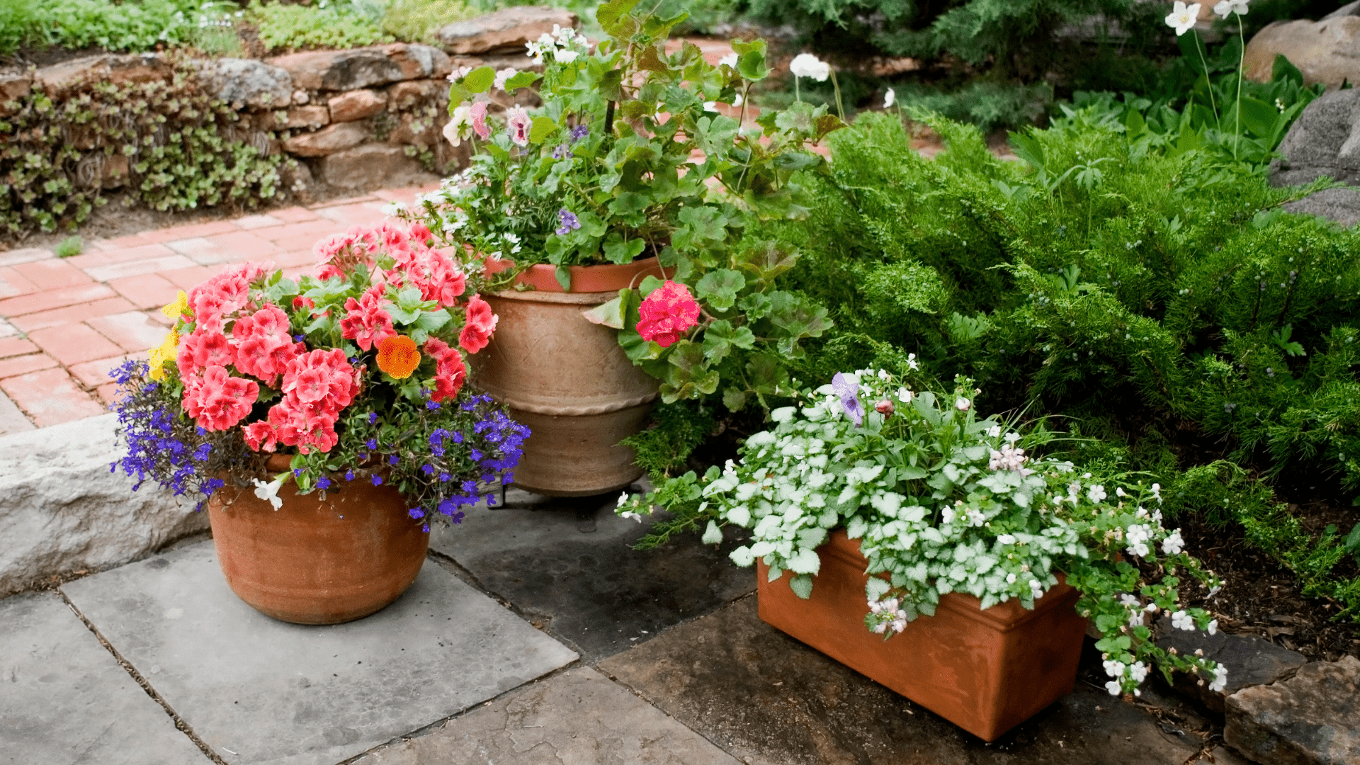 Module 17: Starting Your First Container Garden
