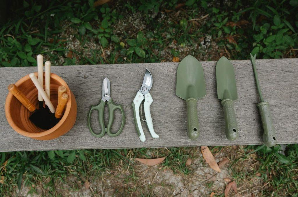 Safety First: Must-Follow Gardening Safety Tips From the Experts