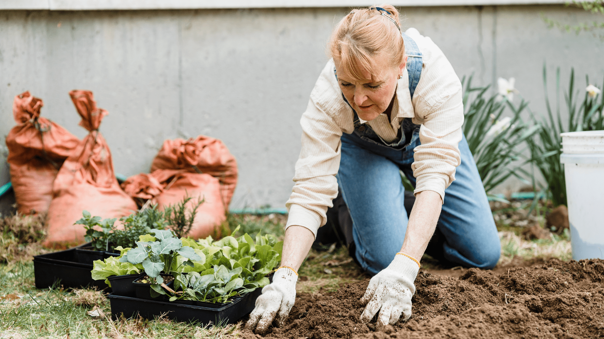 Gardening Safety for a Safe and Enjoyable Experience