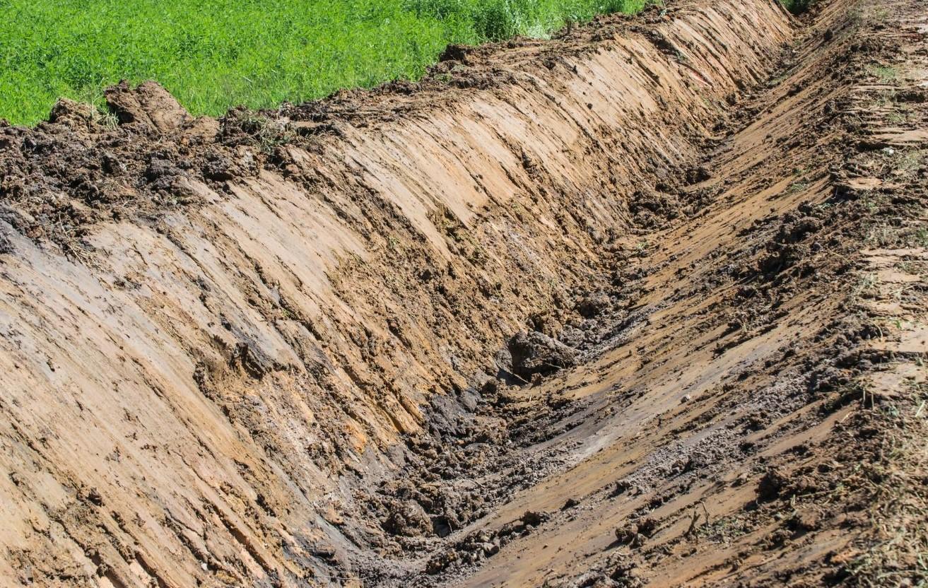 From Puddles to Paradise: 6 Ways to Solve Garden Drainage Issues