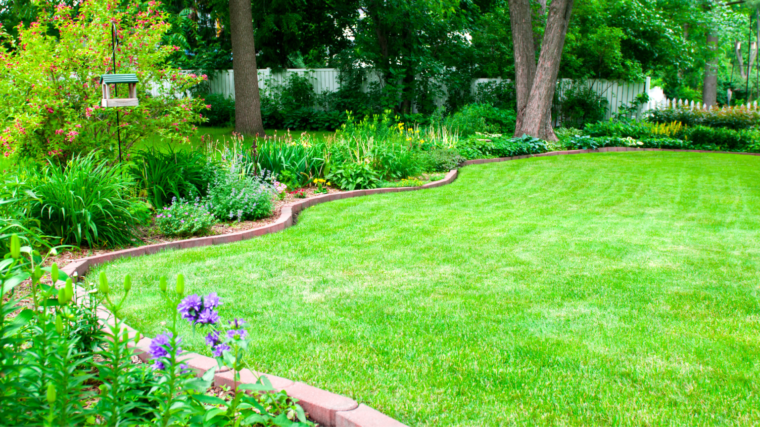 Understanding Plant Sunlight Requirements - Gardening Express Knowledge Hub