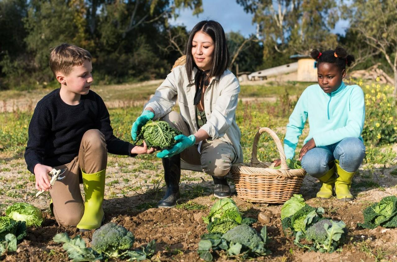 Grow, Play, Learn: The Best Vegetable Gardening Activities for Kids