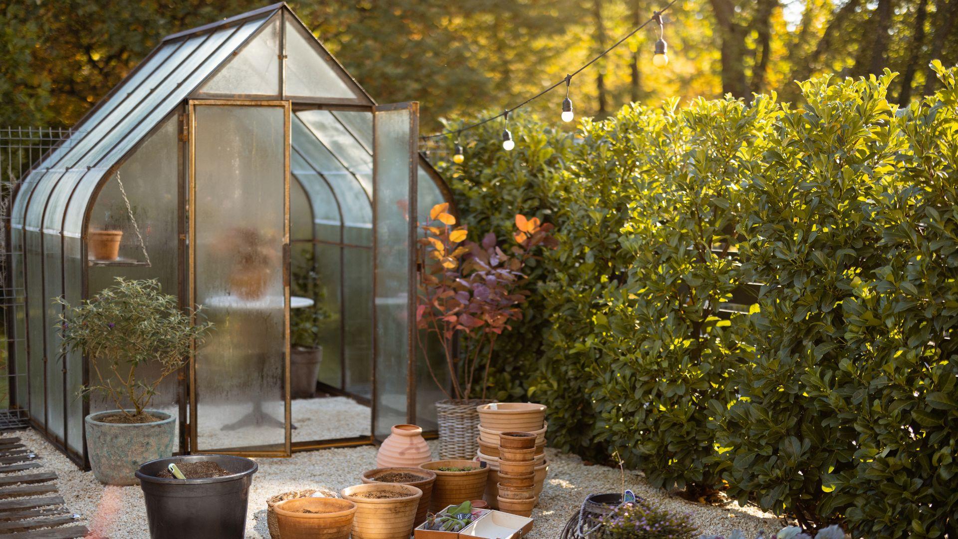 A Comprehensive Guide To Cold-Climate Gardening
