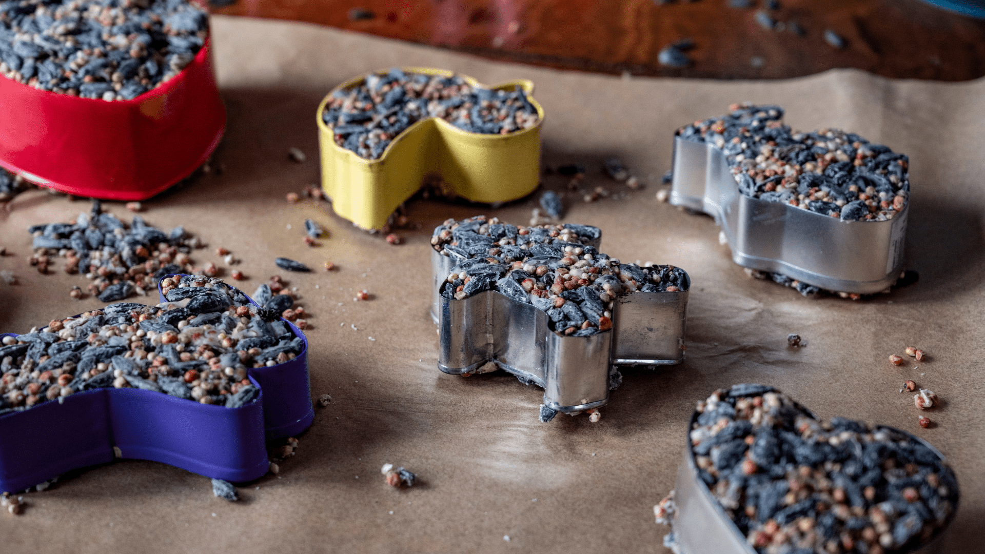 All About Suet: Tips for Feeding Suet to Birds!