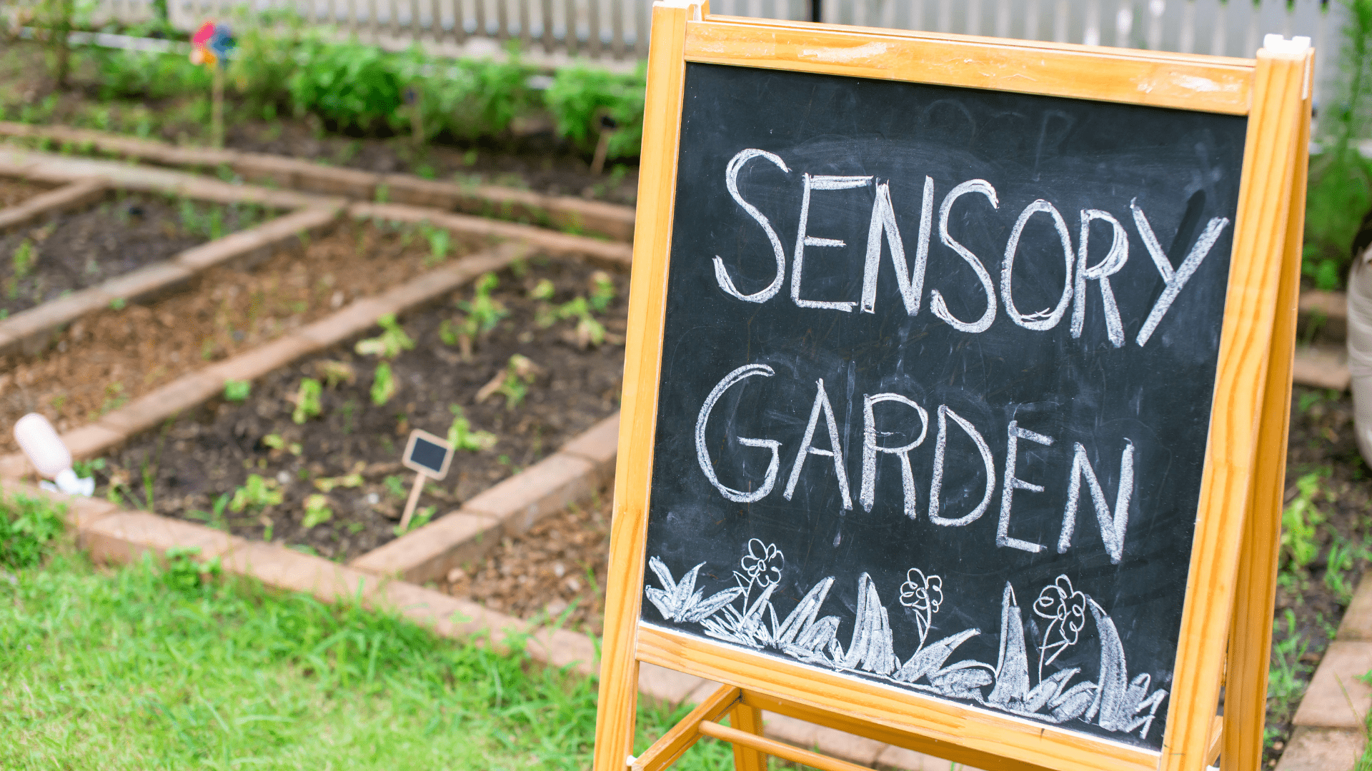 Creating a Sensory Garden: Tips and Ideas to Design Your Own
