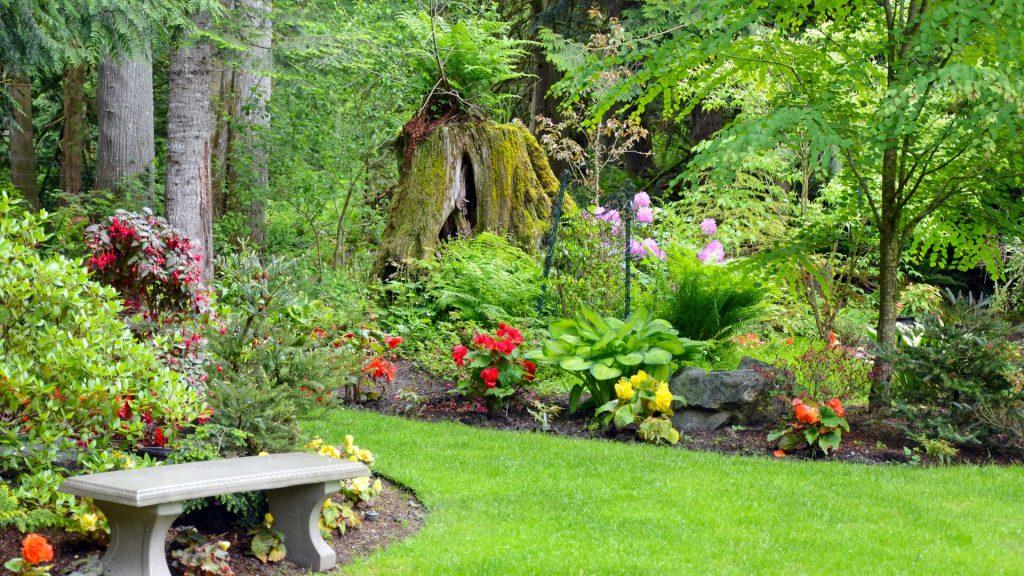 How To Plan Your Garden to Create The Ideal Microclimate