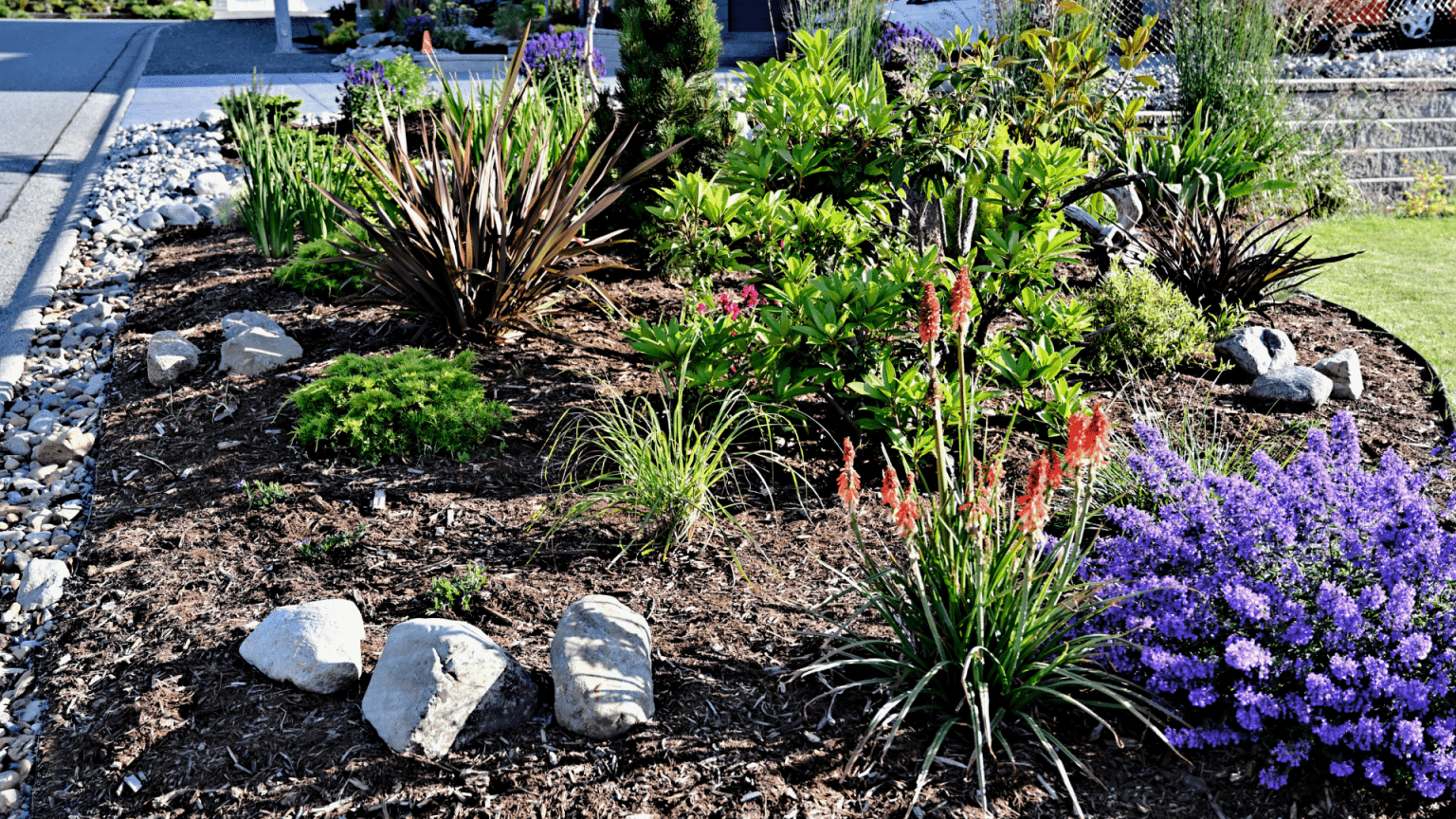 Module 10: How Plants Grow - Gardening Express Knowledge Hub