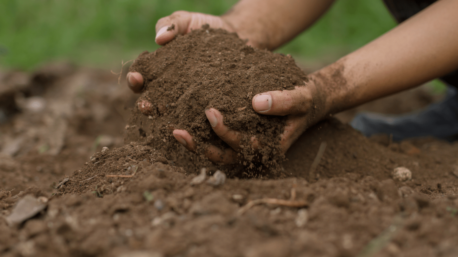 Module 13: Hardiness Ratings