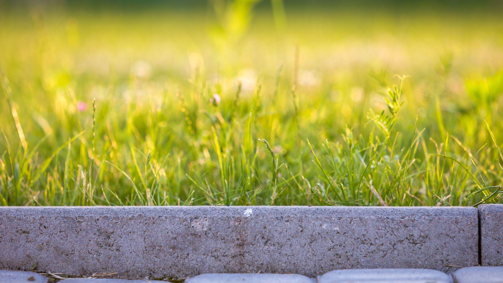 A Comprehensive Guide to Garden Edging - Gardening Express Knowledge Hub