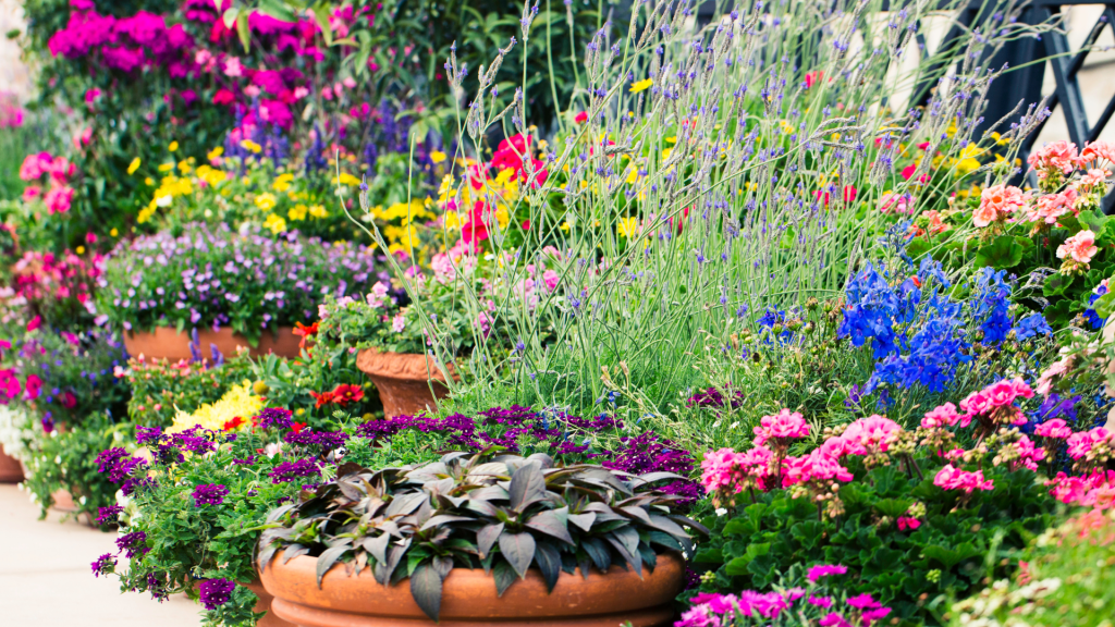 A Guide to May Flowering Plants in the UK - Gardening Express Knowledge Hub
