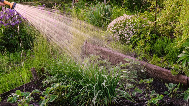 Garden Hose Flow Rates & Nozzles Explained - Gardening Express ...