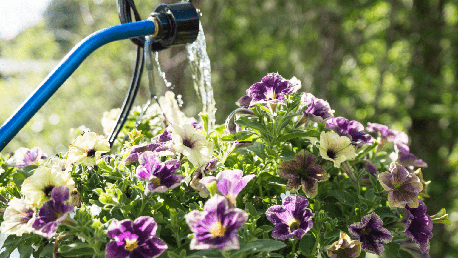 Garden Hose Flow Rates & Nozzles Explained - Gardening Express ...