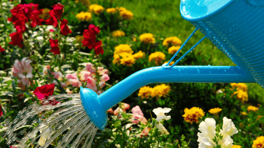 9 Best Practices for Conserving Water in Your Garden