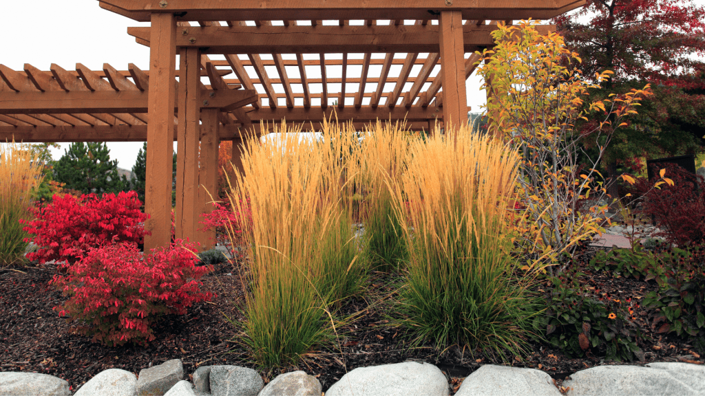 How to Select Plants That Look Beautiful Year-Round