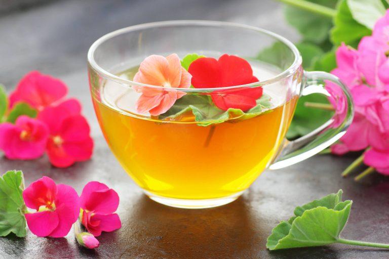 Geraniums - Edible Flowers in your Garden - Gardening Express Knowledge Hub