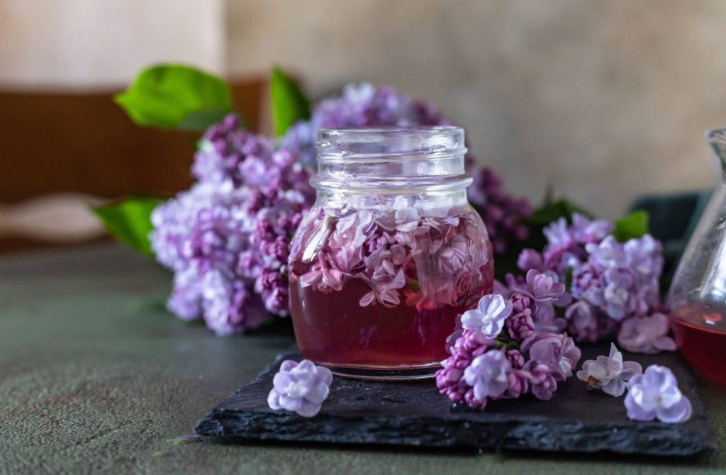 Lilac Trees - Edible Plant in your Garden - Gardening Express Knowledge Hub